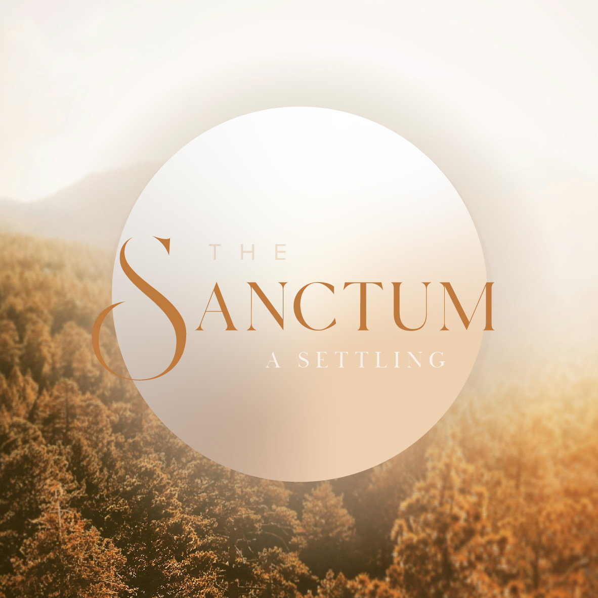 Experiences: The Sanctum, A Settling - Space Within